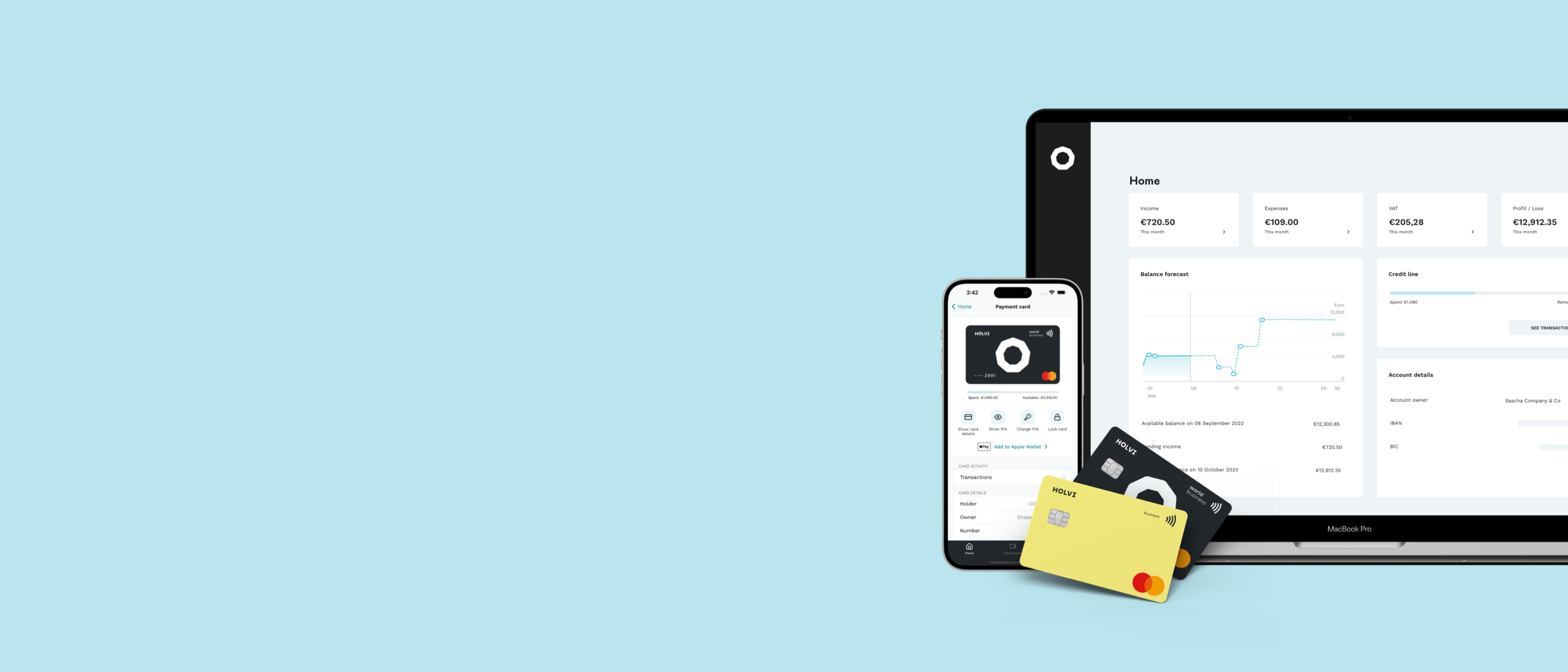 Business account – Online business banking | Holvi