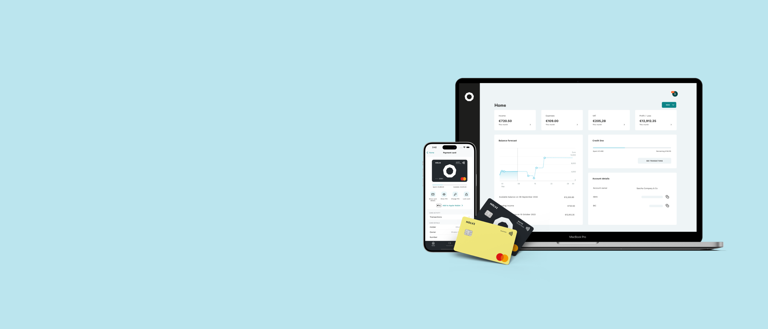 Online business account with German IBAN | Holvi Germany