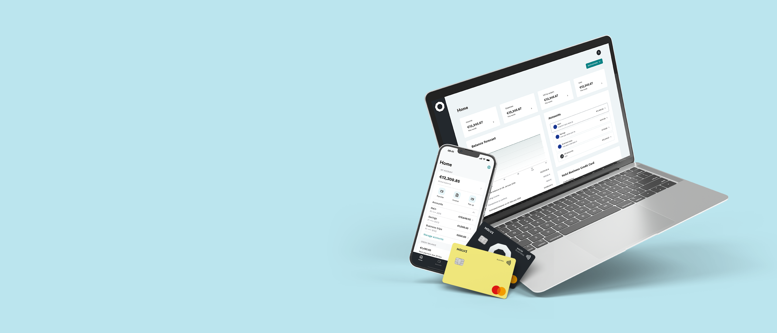 Business account – Online business banking | Holvi